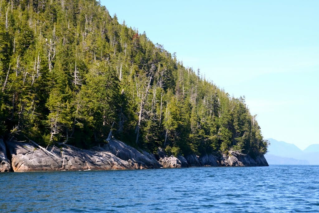 Calvert Island Conservancy | Coast Funds