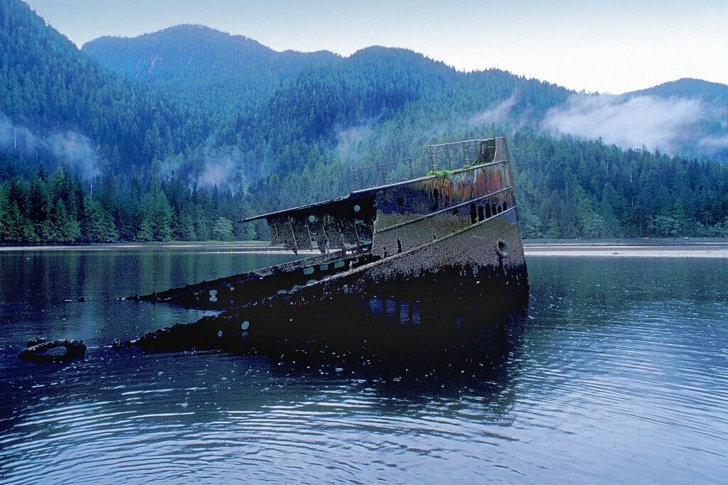 Carter Bay Conservancy | Coast Funds