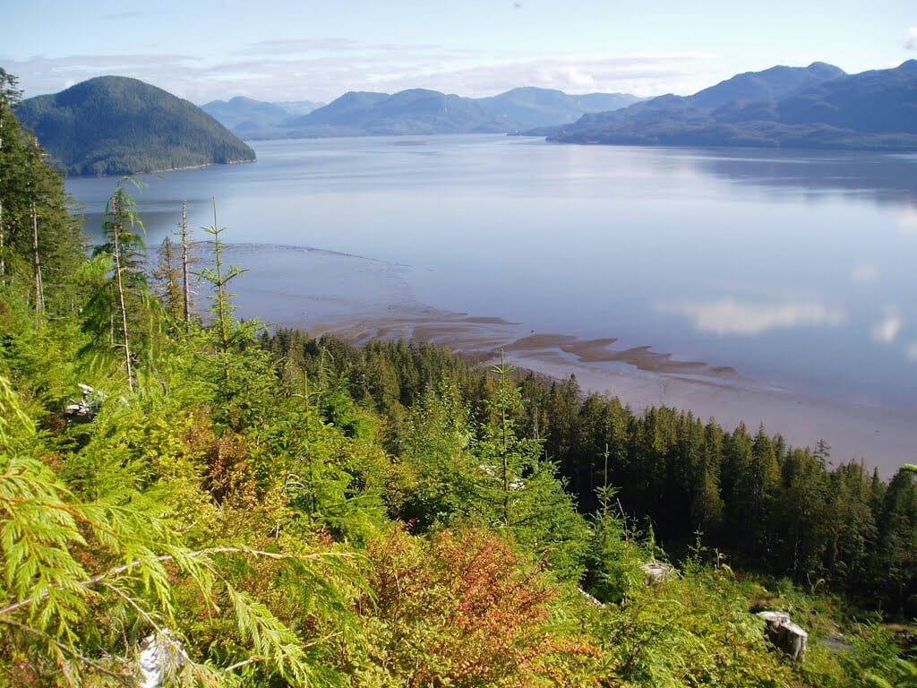 Kennedy Island Conservancy | Coast Funds