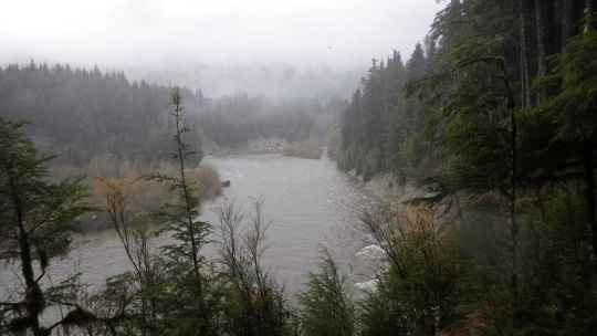 Kwiakah Nation | Coast Funds