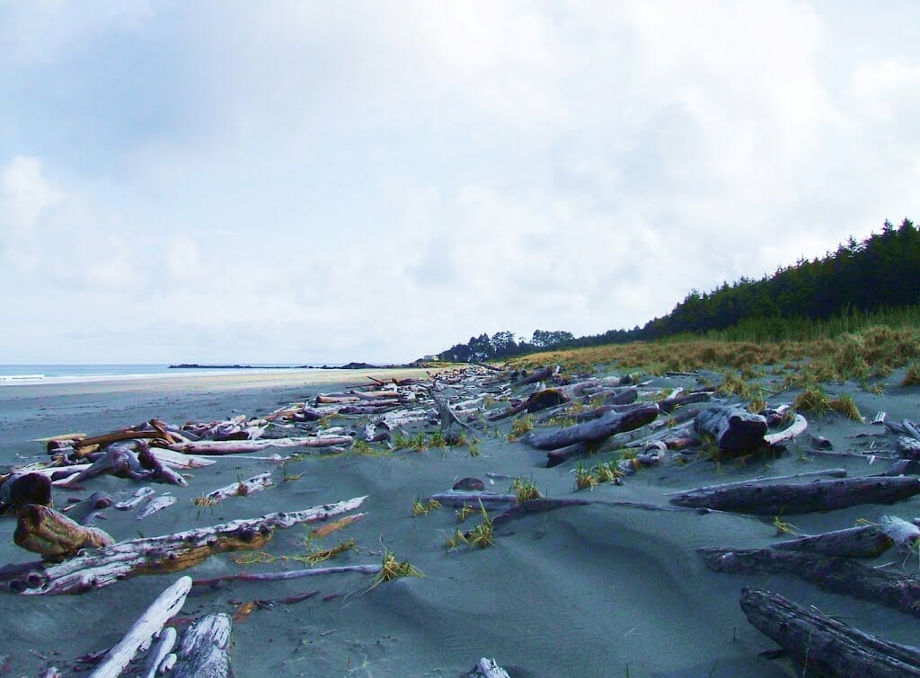 Tow Hill Ecological Reserve | Coast Funds