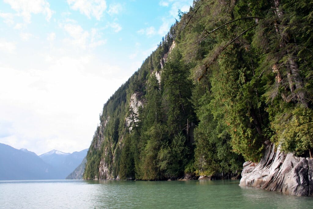 Adeane Point Biodiversity Area | Coast Funds