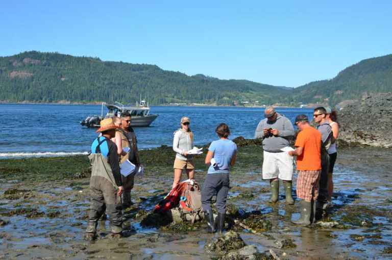 Kwiakah Nation: Restoring Phillips Arm through Research and Indigenous ...