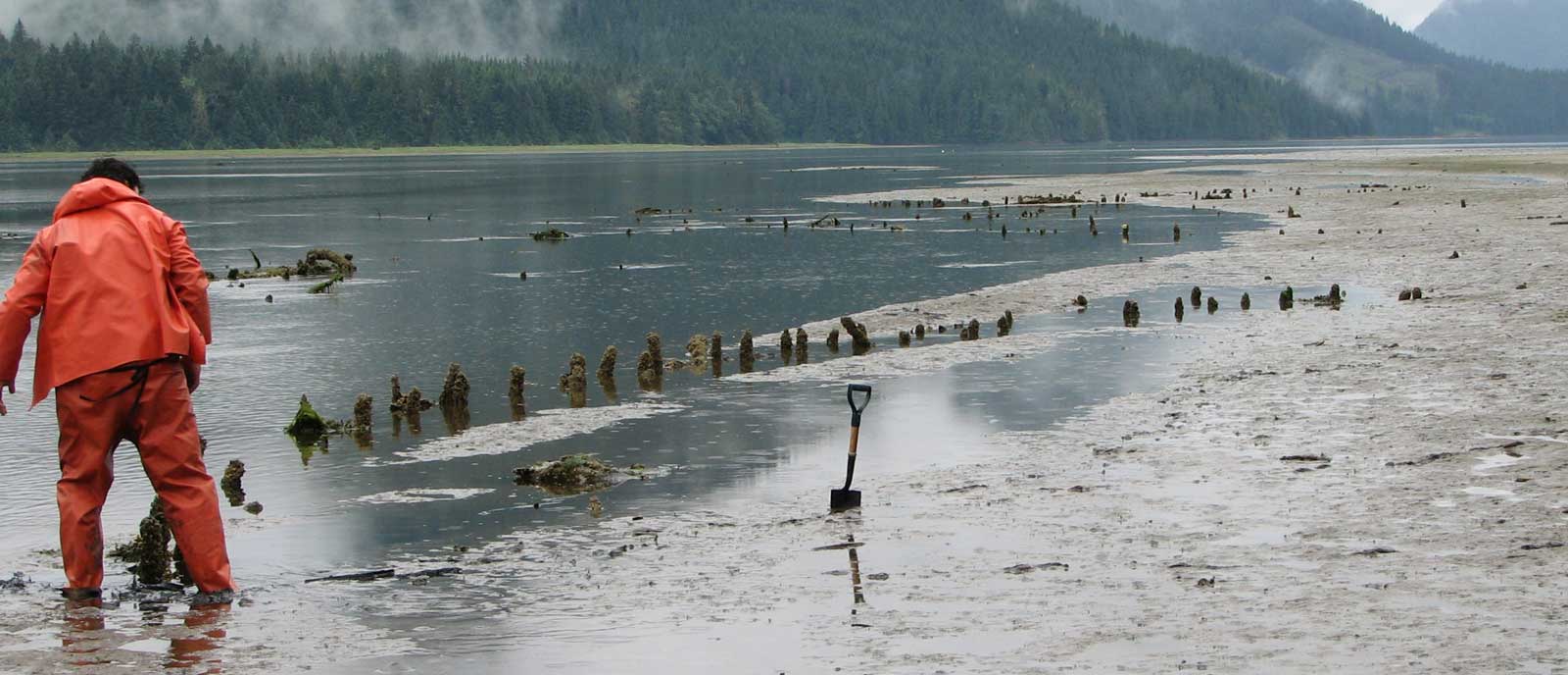 Kwiakah Nation: Restoring Phillips Arm through Research and Indigenous ...