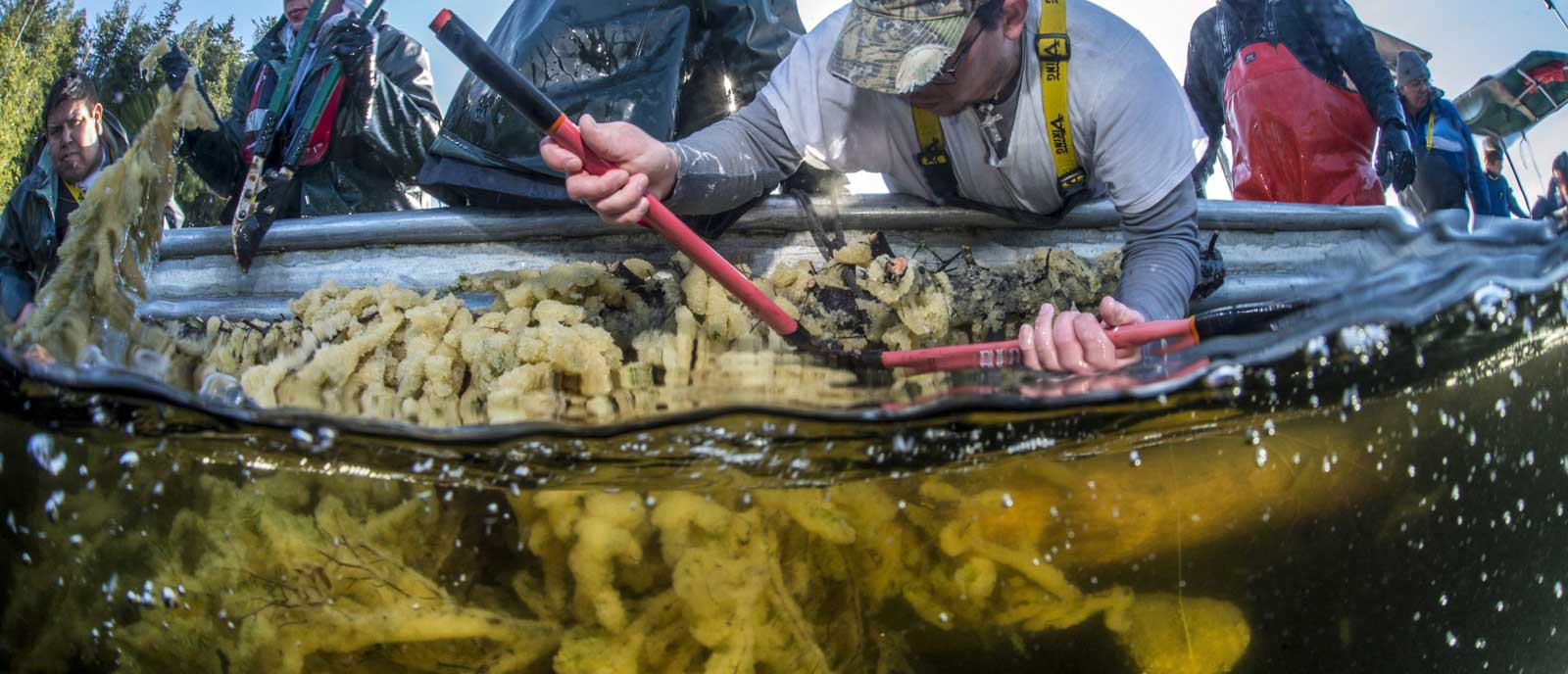 Heiltsuk Stewardship: Collaborating for Resource Management | Coast Funds