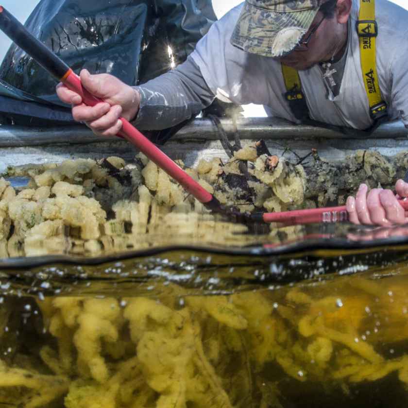 Haíɫzaqv (Heiltsuk) Nation | Coast Funds