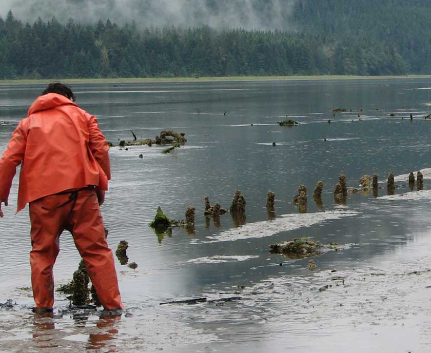 Kwiakah Nation: Restoring Phillips Arm through Research and Indigenous ...