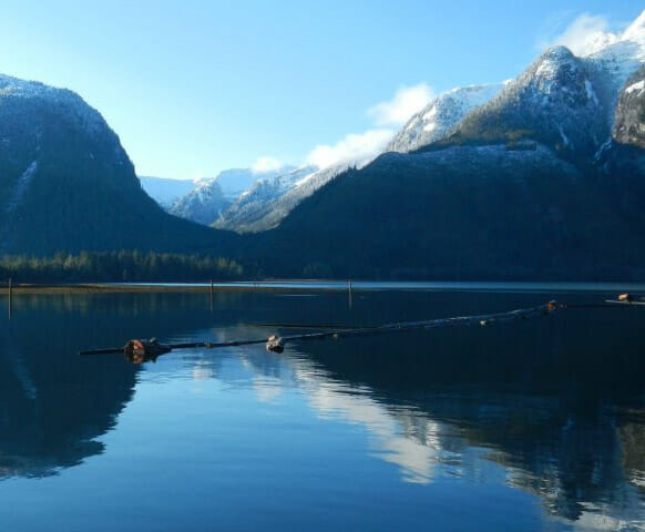 Wuikinuxv Nation Invests in Clean Energy to power Rivers Inlet | Coast ...