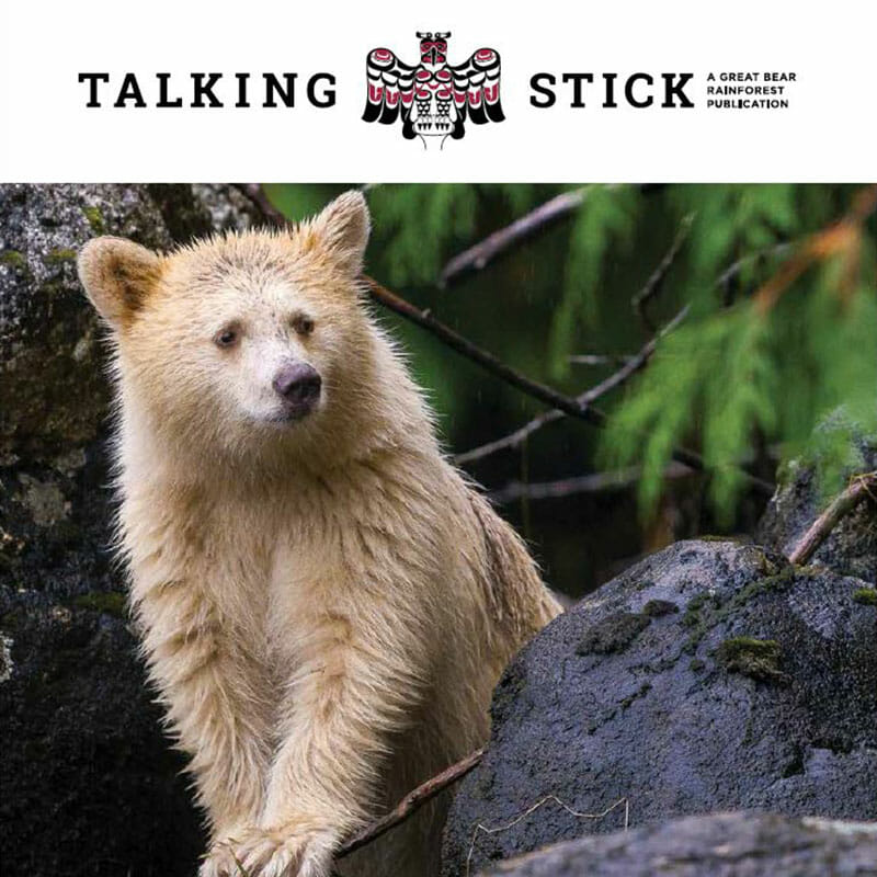 Talking Stick – Spring 2018 | Coast Funds