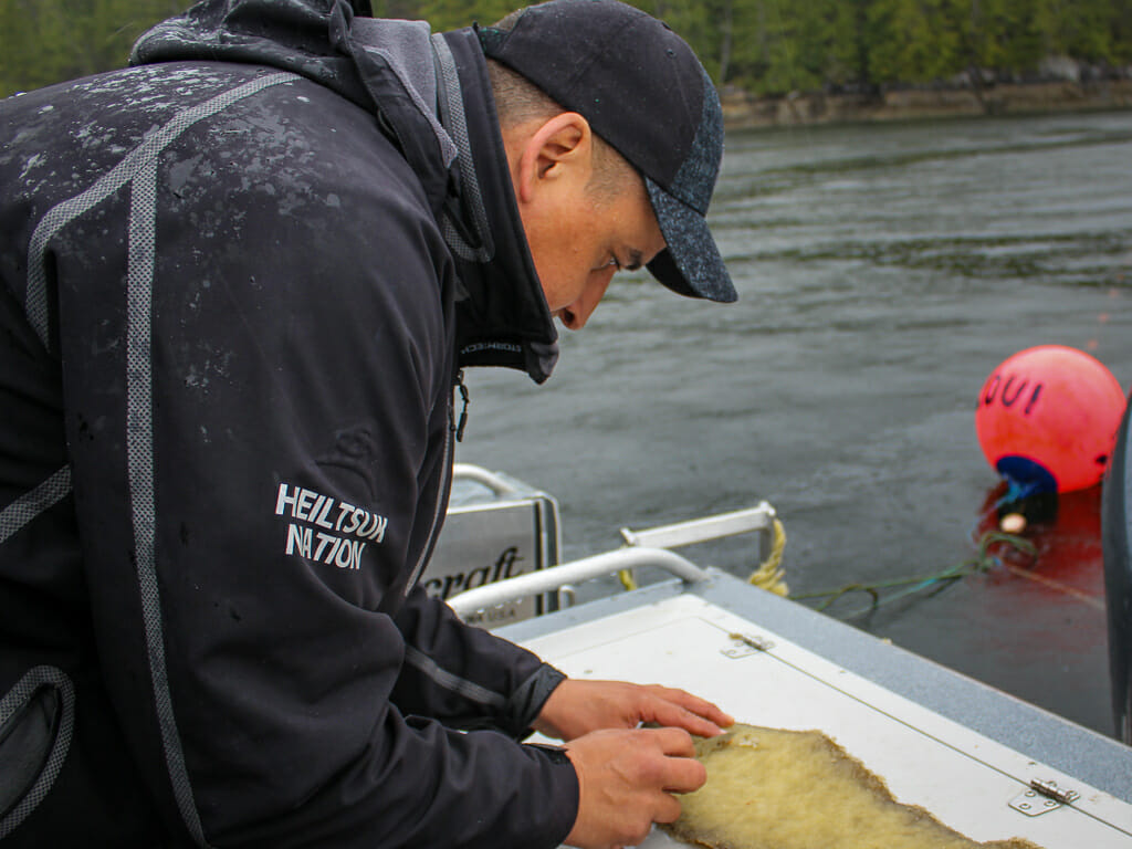 Community Well-Being: Guardian Watchmen and Regional Monitoring ...