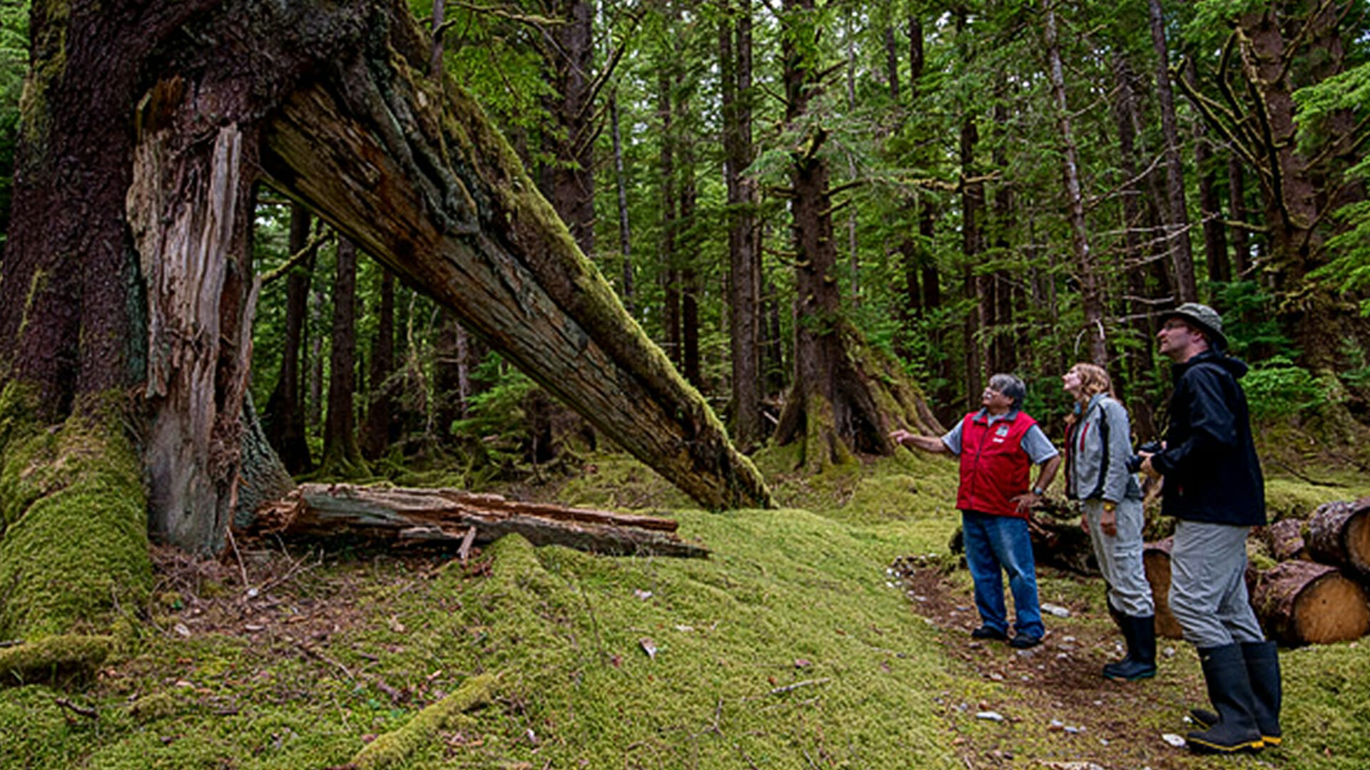 25 Years of Co-Management in Gwaii Haanas | Coast Funds