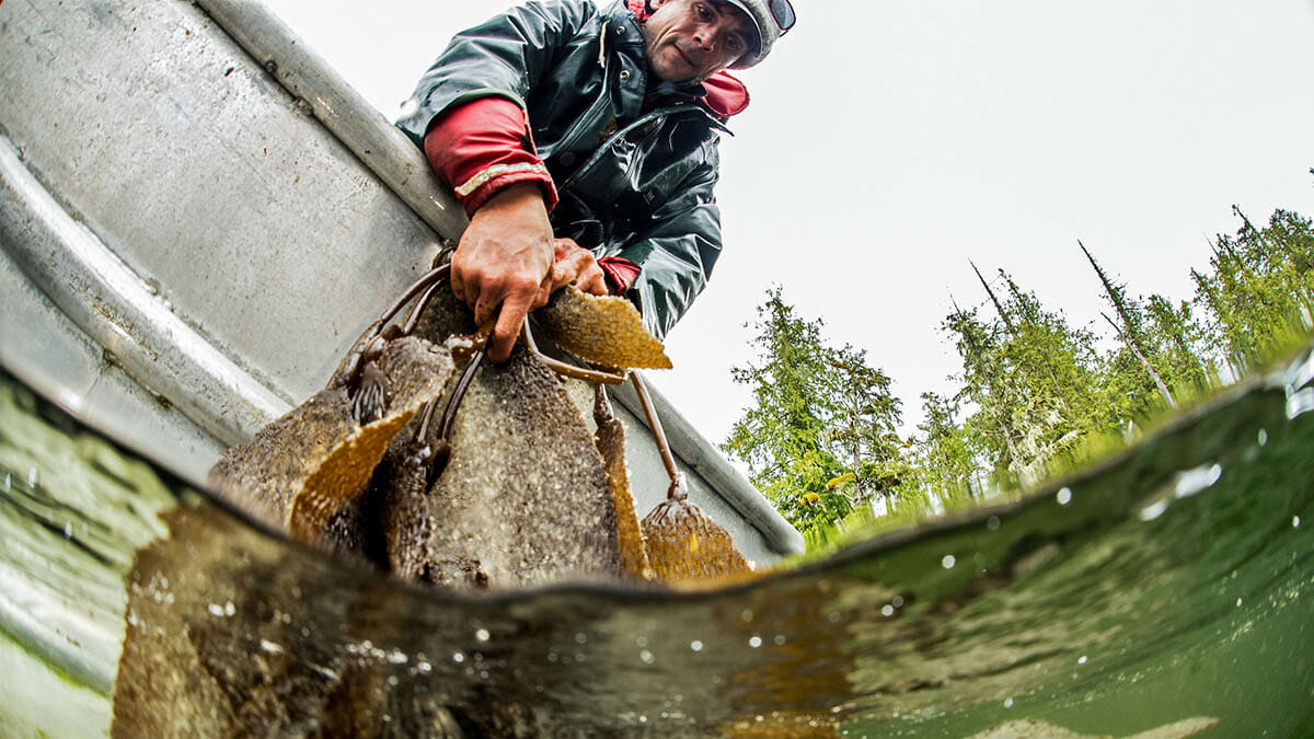 Haíłzaqv (Heiltsuk) Nation Asserting Right to Steward Marine Resources ...