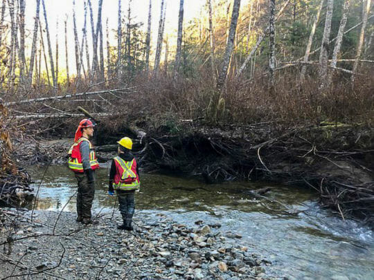 Mamalilikulla Guardian Watchmen: Fulfilling Ancestral Responsibilities ...