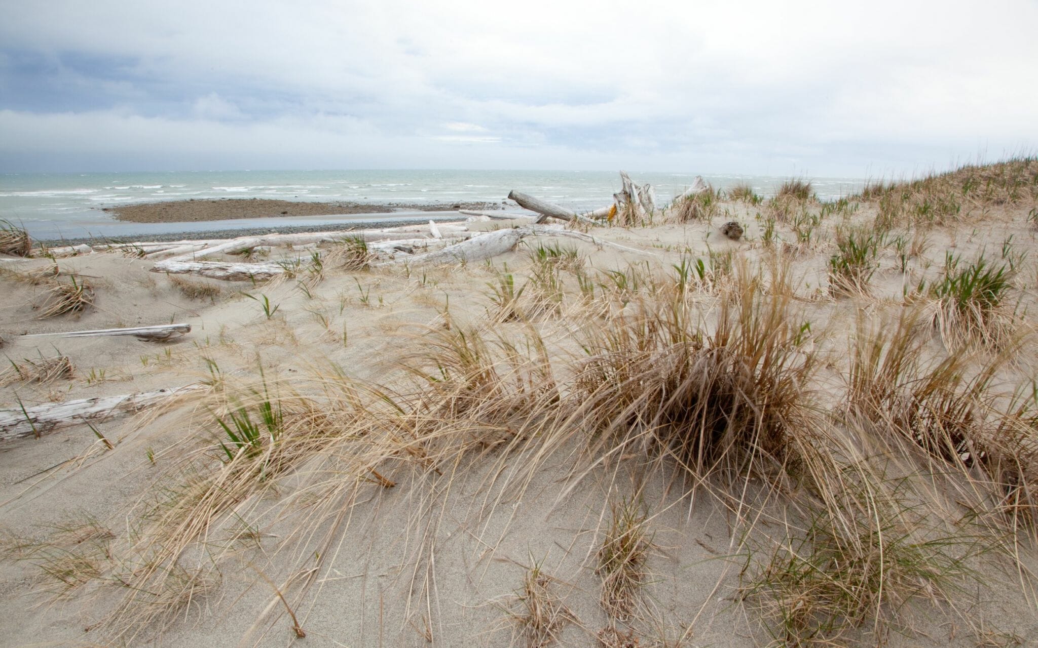 Stunning New Cabins Open at Haida House as Haida Gwaii Welcomes ...