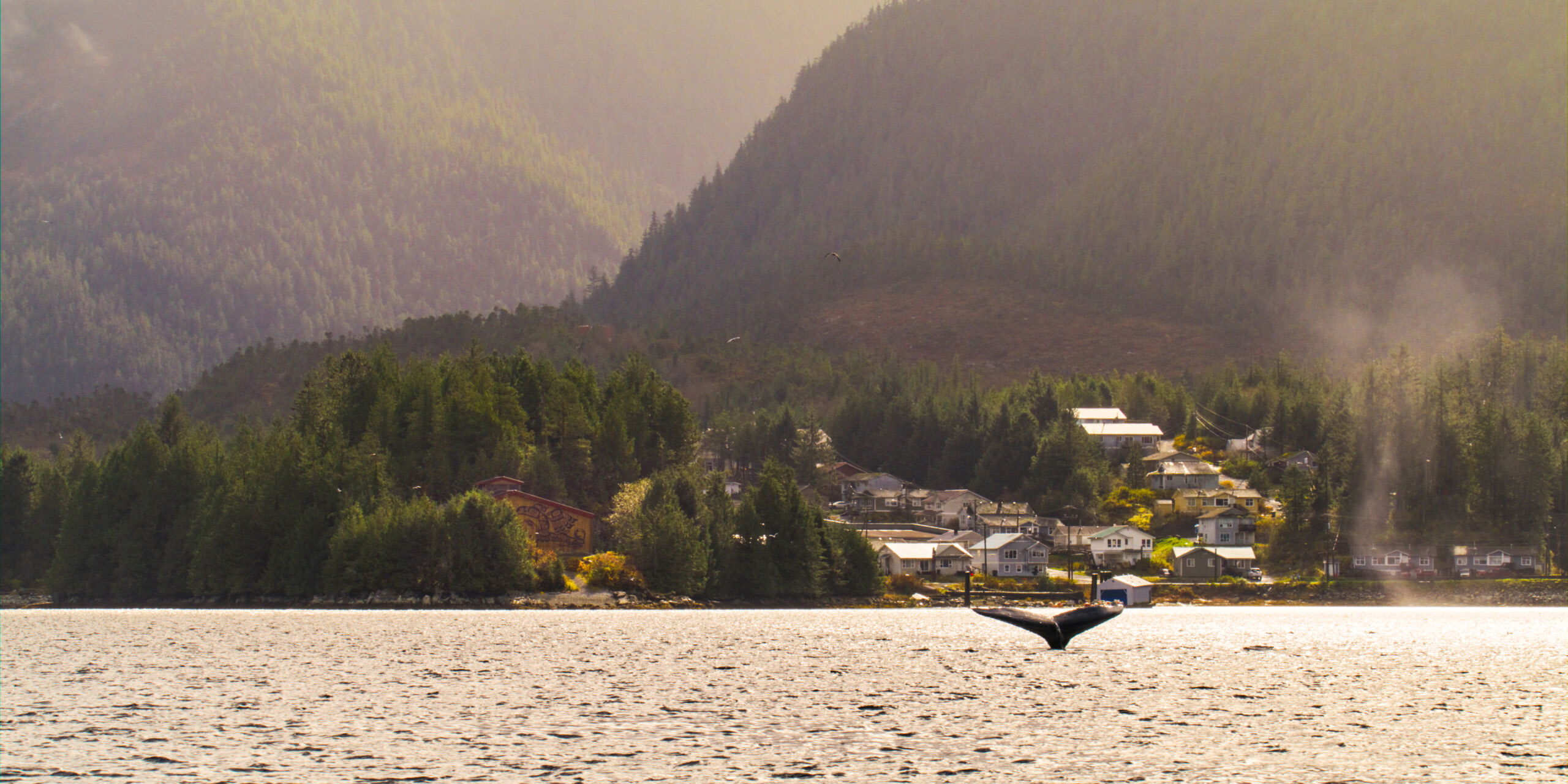 Kitasoo Xai’xais Nation | Coast Funds